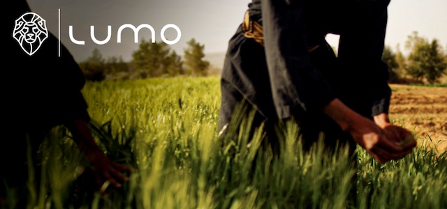 LUMO - The Gospel of Mark - English